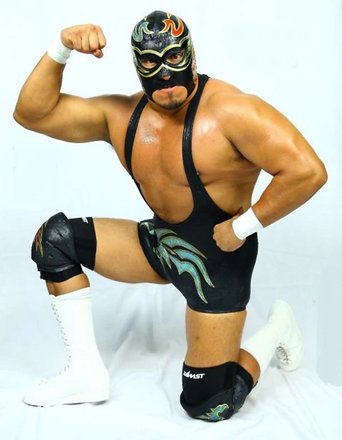 Silver King Wrestler