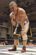 DDT Judgement 2015/Image gallery | Pro Wrestling | Fandom
