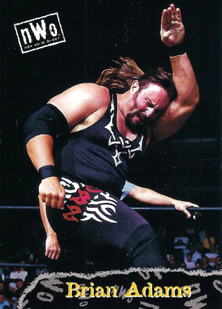 1998 WCW-nWo Nitro (Topps) Brian Adams (No.55) | Pro Wrestling | Fandom
