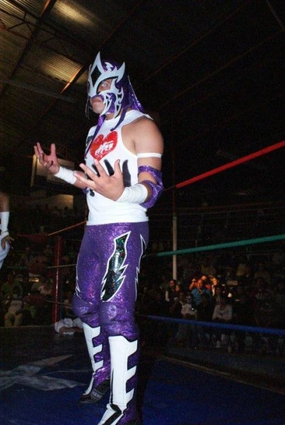 Electro Boy/Image gallery | Pro Wrestling | Fandom
