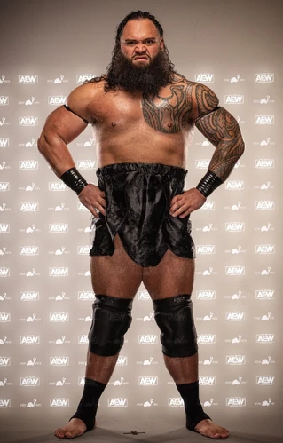 Toa Liona | Pro Wrestling | Fandom