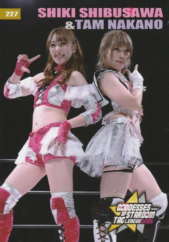 2019 Stardom Collection Card Saki Kashima & Mayu Iwatani-Shiki Shibusawa & Tam Nakano (No.227 ...