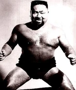 Great Togo/Image gallery | Pro Wrestling | Fandom