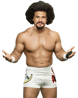 Carly Colón | Pro Wrestling | Fandom