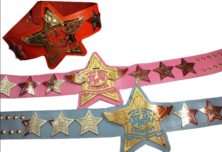 Artist of Stardom Championship | Pro Wrestling Wiki | Fandom