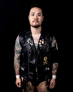 Kevin Ku/Image gallery | Pro Wrestling | Fandom