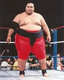 Yokozuna/Image gallery | Pro Wrestling | Fandom