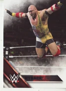 Ryback/Merchandise | Pro Wrestling | Fandom