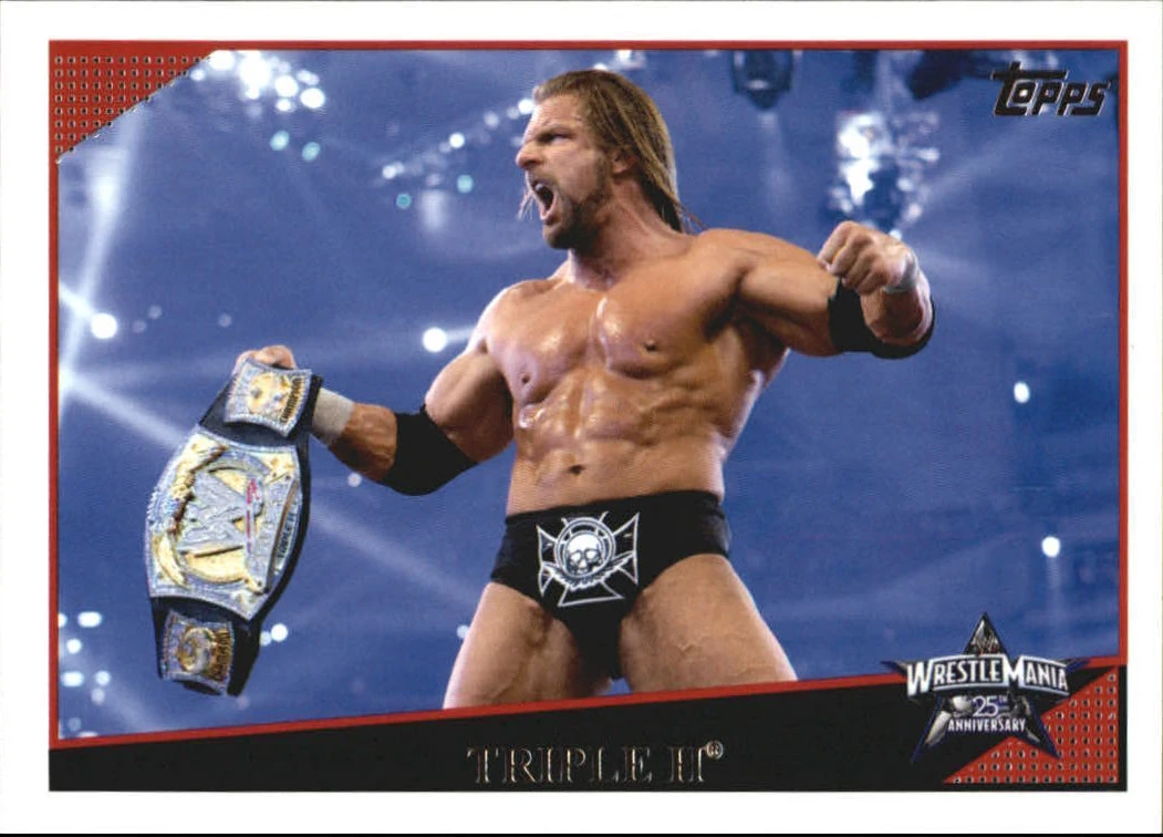 Triple H 2009