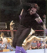 In Your House 8: Beware of Dog/Image gallery | Pro Wrestling | Fandom