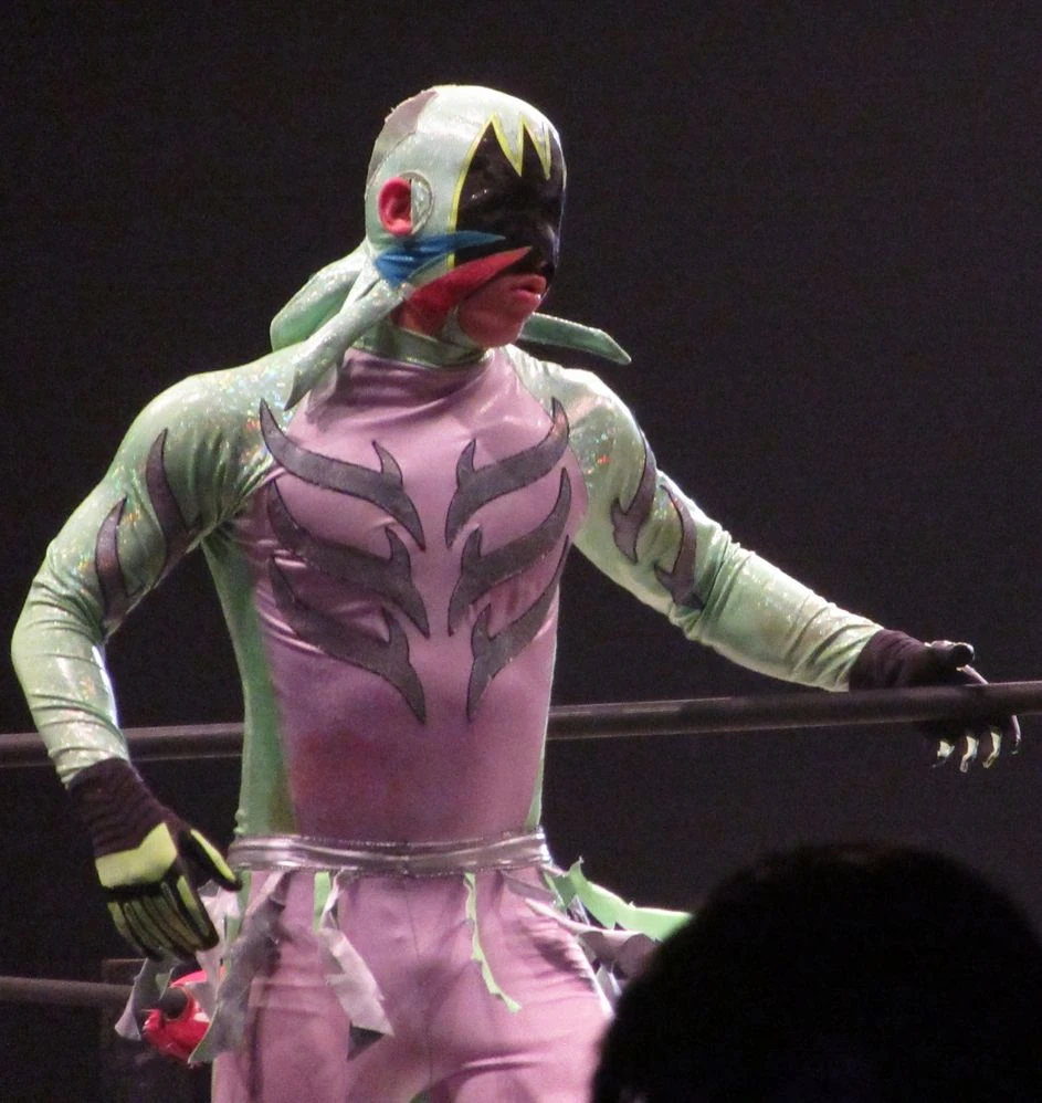 Shun Skywalker | Pro Wrestling Wiki | Fandom
