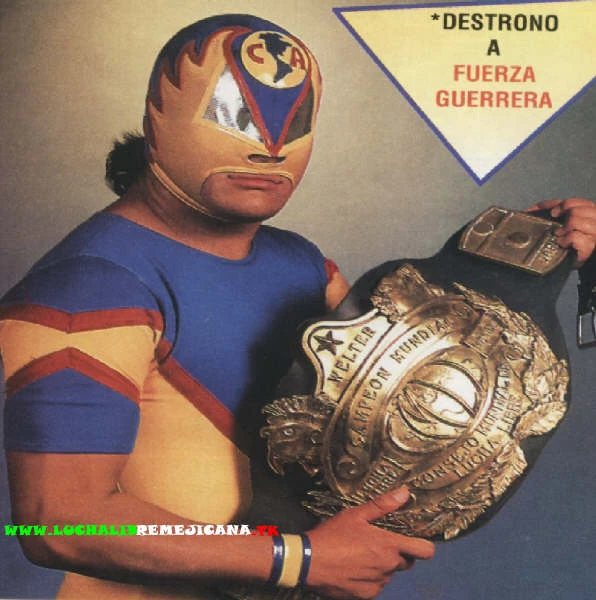 Pantera/Image gallery | Pro Wrestling | Fandom