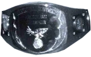 Canadian International Heavyweight Championship | Pro Wrestling | Fandom