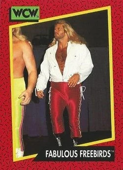 1991 WCW (Impel) Fabulous Freebirds (No.126) | Pro Wrestling | Fandom