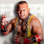 Furia Roja/Image gallery | Pro Wrestling | Fandom