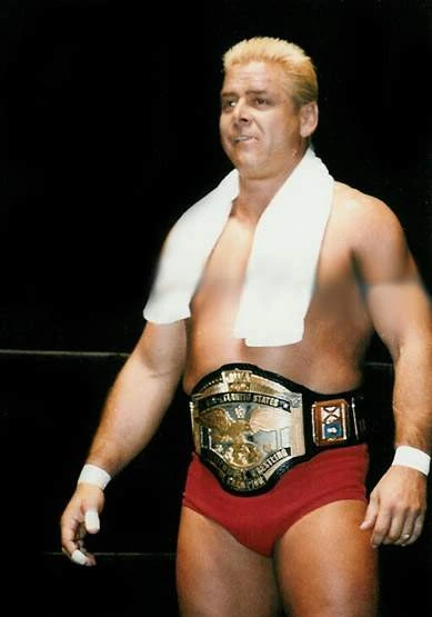 Ronnie Garvin/Image gallery | Pro Wrestling | Fandom
