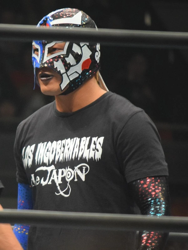 Bushi | Pro Wrestling Wiki | Fandom