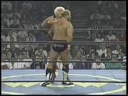 Fall Brawl 1995/Image gallery | Pro Wrestling | Fandom