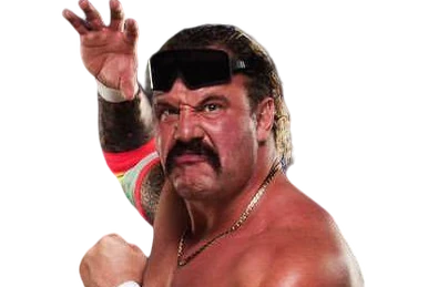 Ecw World Championship The Ewrestling Encyclopedia Fandom