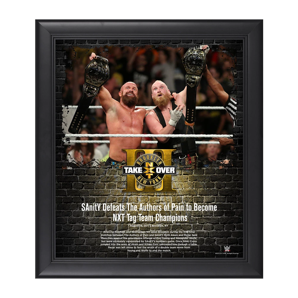 SAnitY NXT TakeOver Brooklyn 2017 15 x 17 Framed Plaque | Pro Wrestling ...