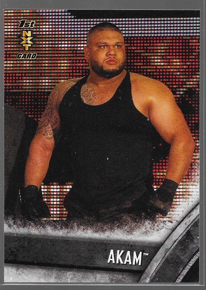 2016 WWE NXT Wrestling Cards (Topps) Akam (No.2) | Pro Wrestling | Fandom