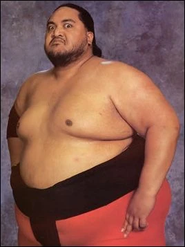 Yokozuna | Pro-Wrestling | Fandom