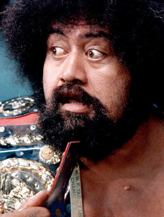 Afa Anoa'i | Wiki Pro Wrestling | Fandom