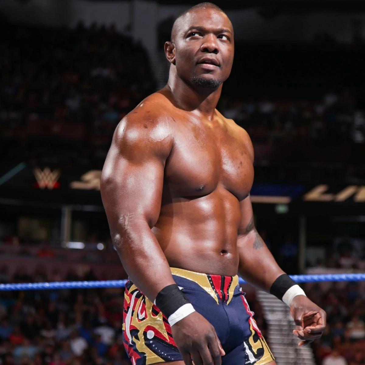 Shelton Benjamin | Wiki Pro Wrestling | Fandom