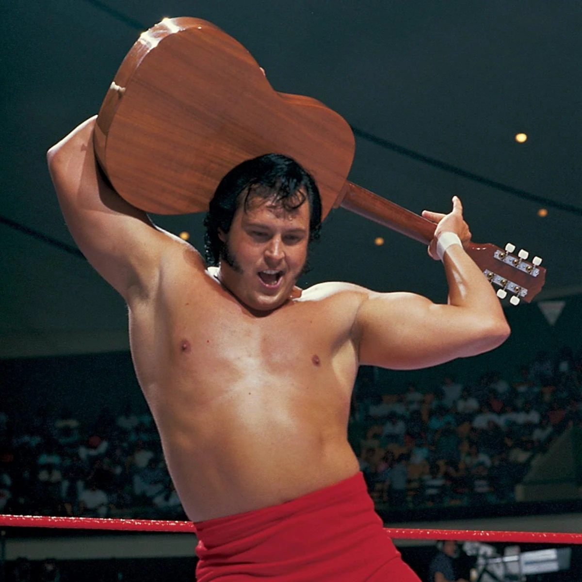 Galeria de The Honky Tonk Man | Wiki Pro Wrestling | Fandom