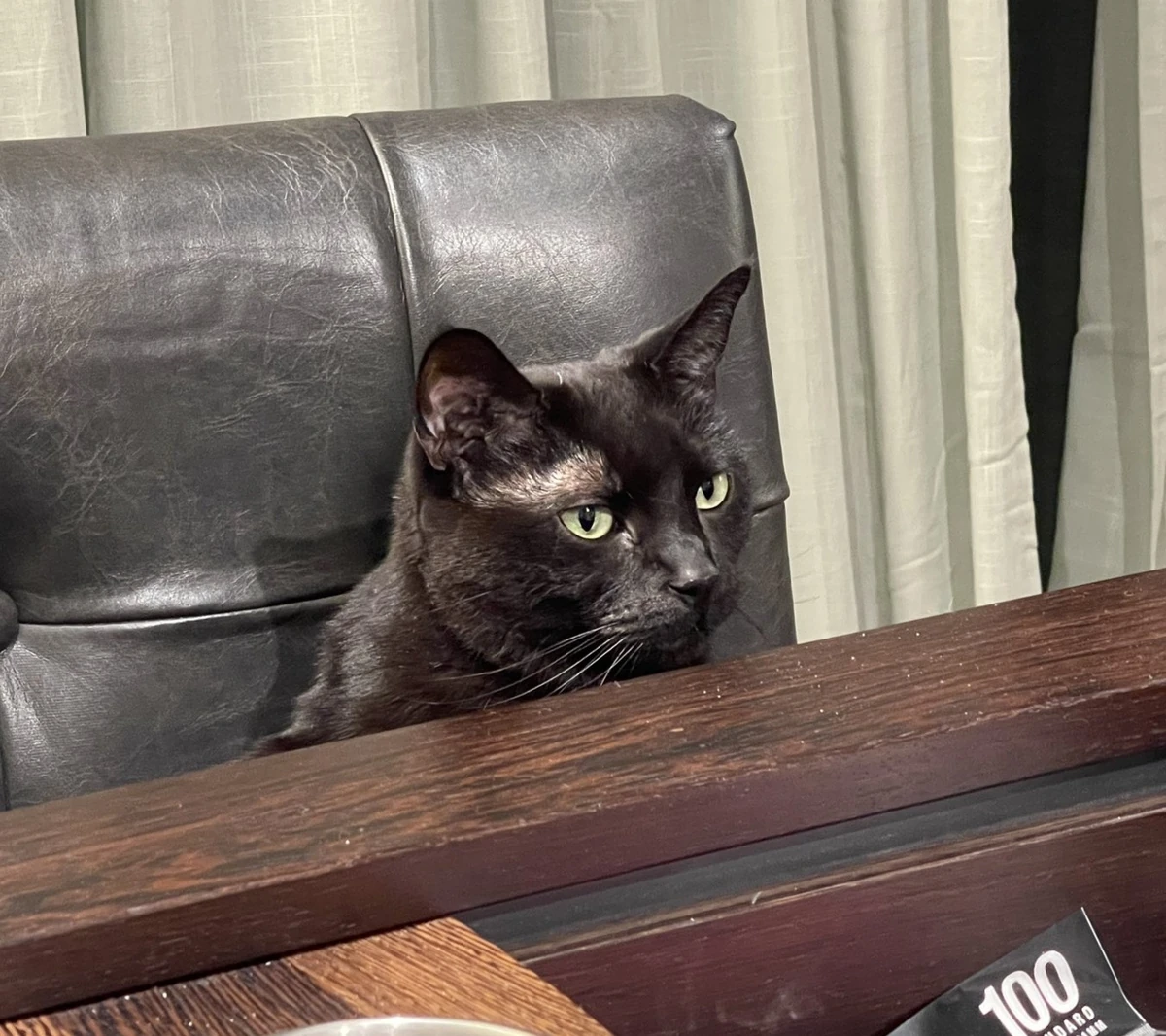 Effie | ProZD Plays Games Wiki | Fandom