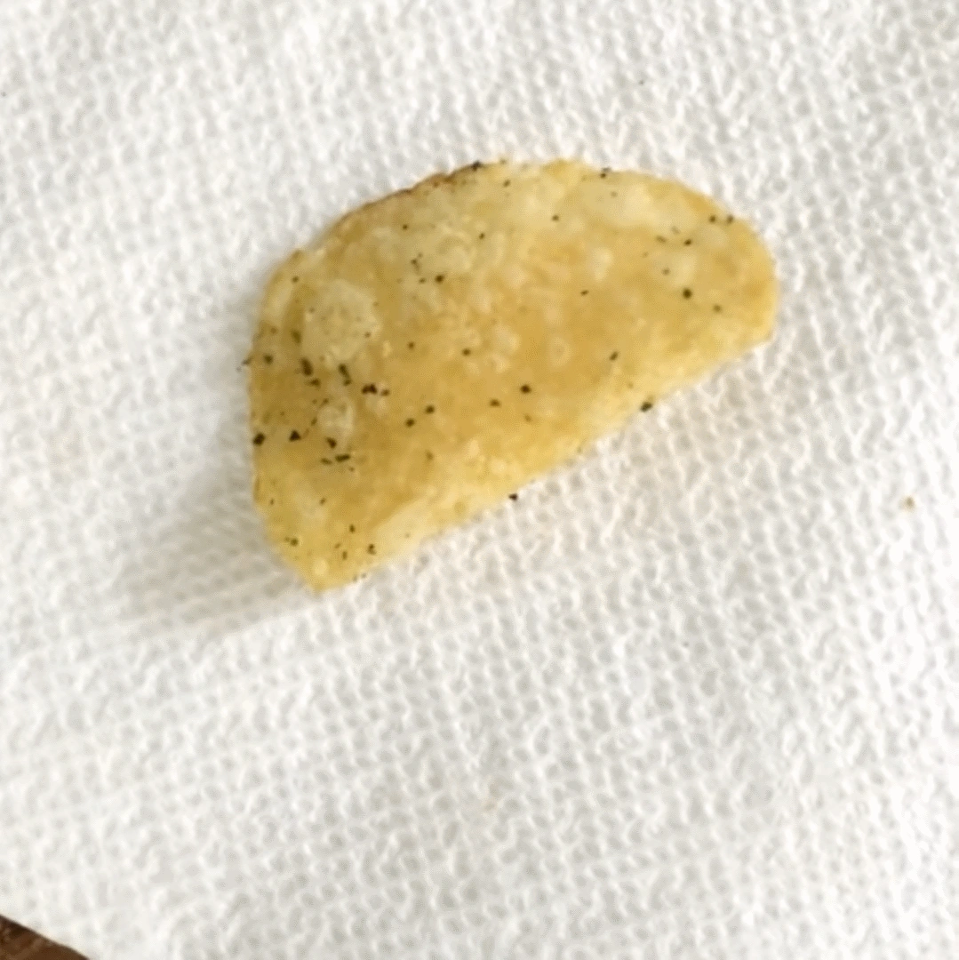 Sentient Chip | ProZD Wiki | Fandom