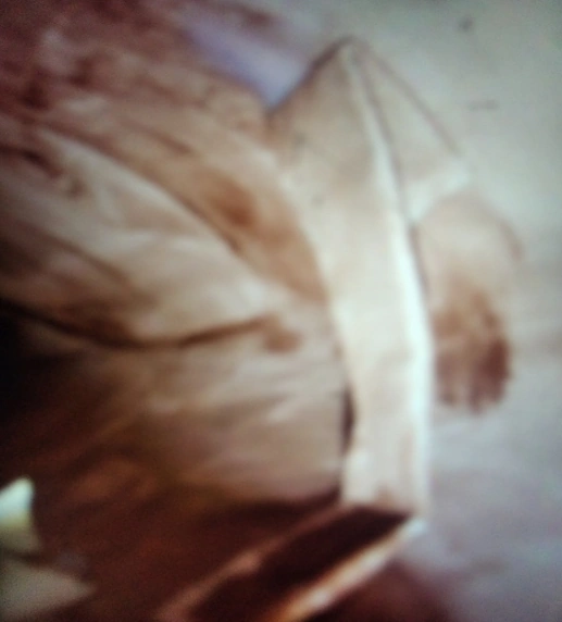 Level 19 | Prtrooms Вики | Fandom