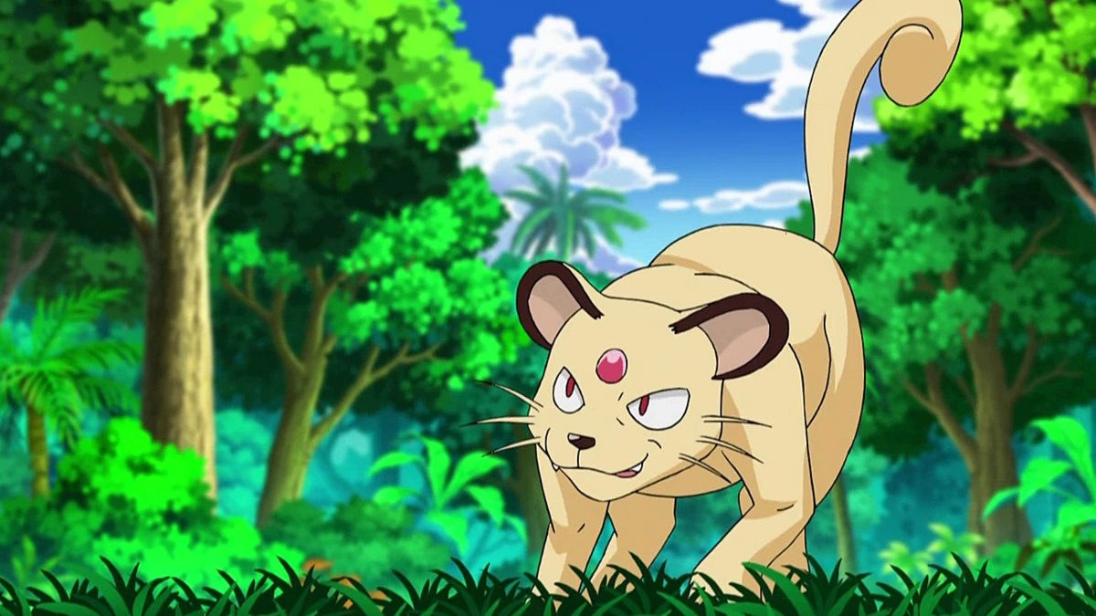 Kitty (BFR) | Pruebas para series Pokemon Wiki | Fandom