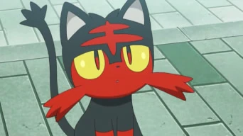 Ingrid | Pruebas para series Pokemon Wiki | Fandom