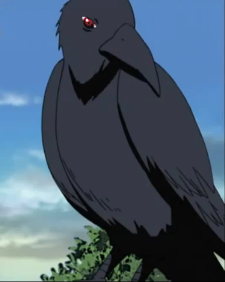 Kuromaru | Wiki PruebasBurijji | Fandom