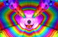 Ranarr Weed | Unrunescape Wiki | Fandom