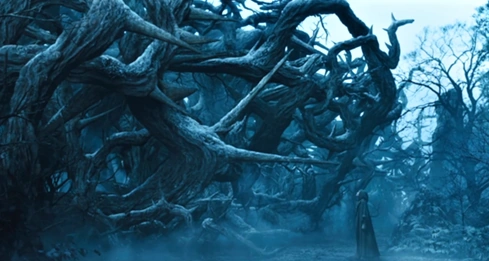 The Wall of Thorns | Prydain Wiki | Fandom