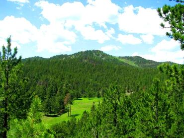 Prydain | Prydain Wiki | Fandom