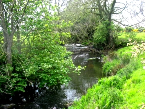 Alaw | Prydain Wiki | Fandom