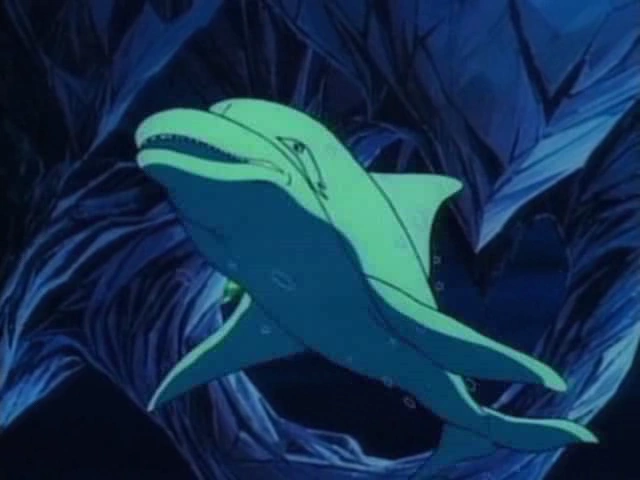 Dolphin | Prysmos Wiki | Fandom