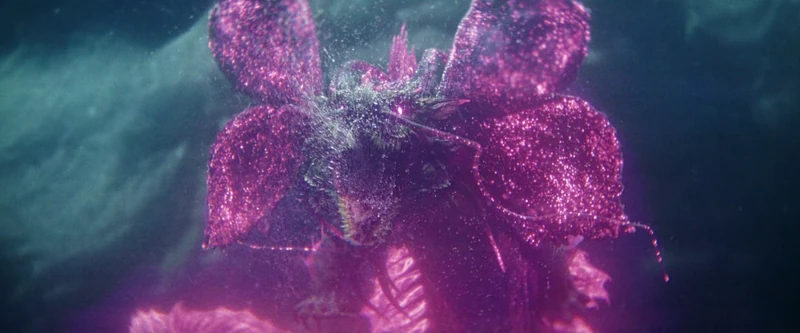 Tiamat (Monsterverse) | Power Scaling Wiki | Fandom