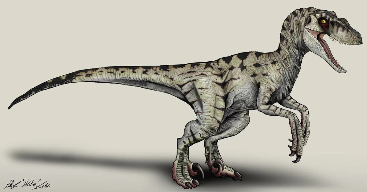 User blog:Dominik.hrScaler/Female Alpha Velociraptor (Jurassic Park III ...