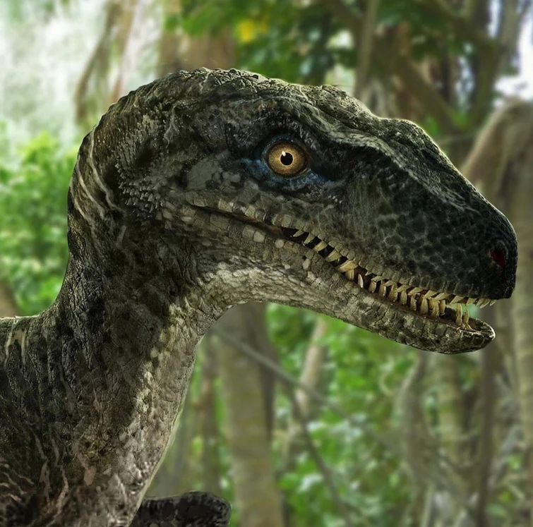 Velociraptor Delta (Jurassic World) | Power Scaling Wiki | Fandom