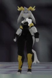 Attire | Pseudoregalia Wiki | Fandom