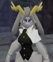 Attire | Pseudoregalia Wiki | Fandom