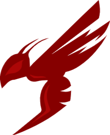 Arizona Stingers | PSFL Football Wiki | Fandom