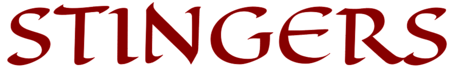 Arizona Stingers | PSFL Football Wiki | Fandom