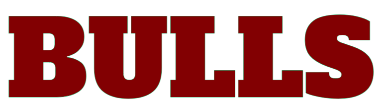 Milwaukee Bulls | PSFL Football Wiki | Fandom