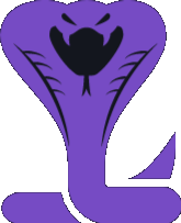 Austin Cobras | PSFL Football Wiki | Fandom