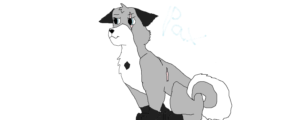 Pax | Psi Patrol Według Fanów Wiki | Fandom